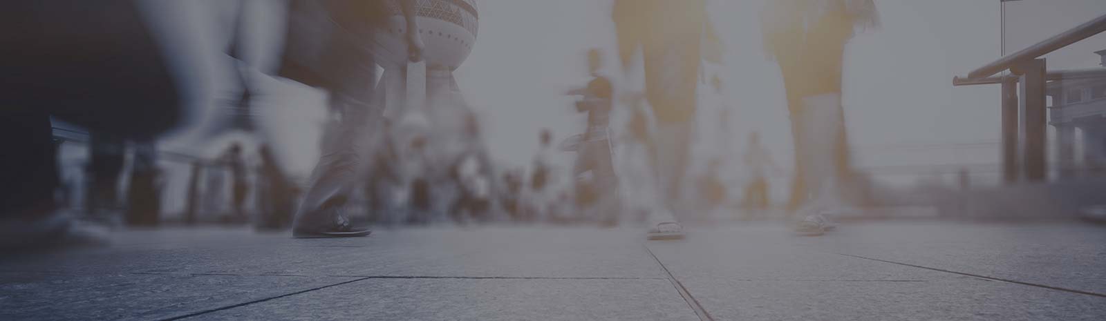 Our History: A Timeline of Origins and Milestones