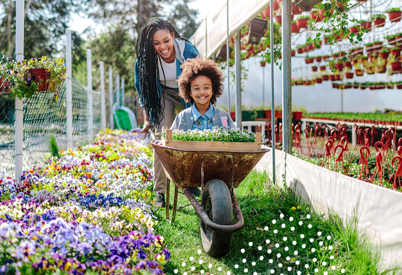 6-Month Add-On Certificate